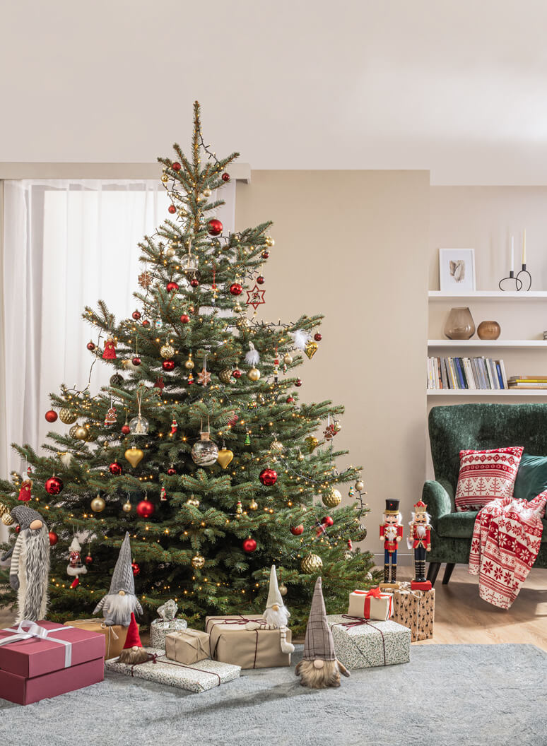Choinka 2023 – trendy, które musisz znać! | Blog BRW